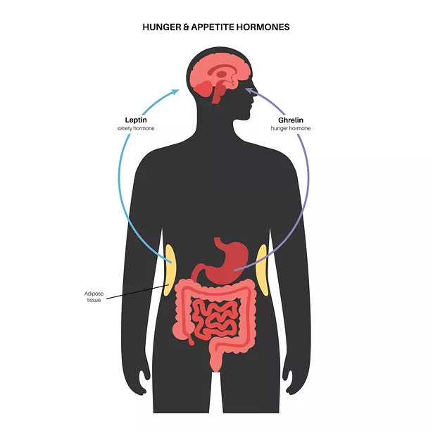 Life in the Fast Lane: A Closer Look at Intermittent Fasting | Health ...