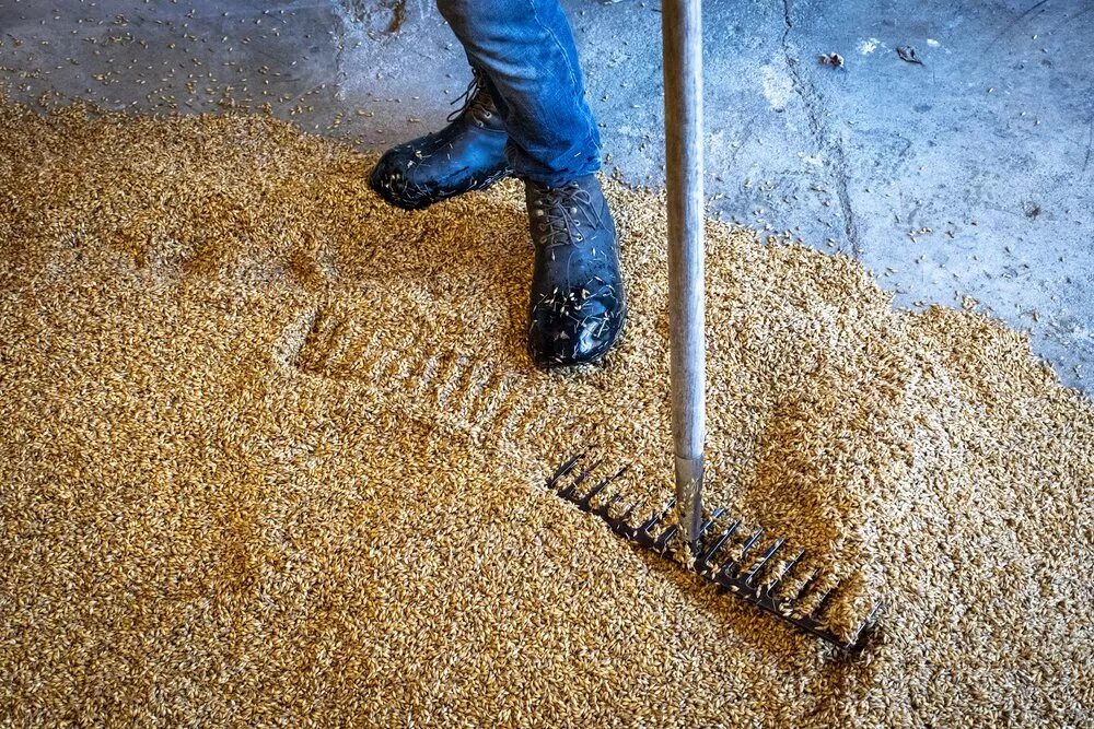The Soul of Beer: Subversive Malting & Brewing Gets to the Heart of It ...